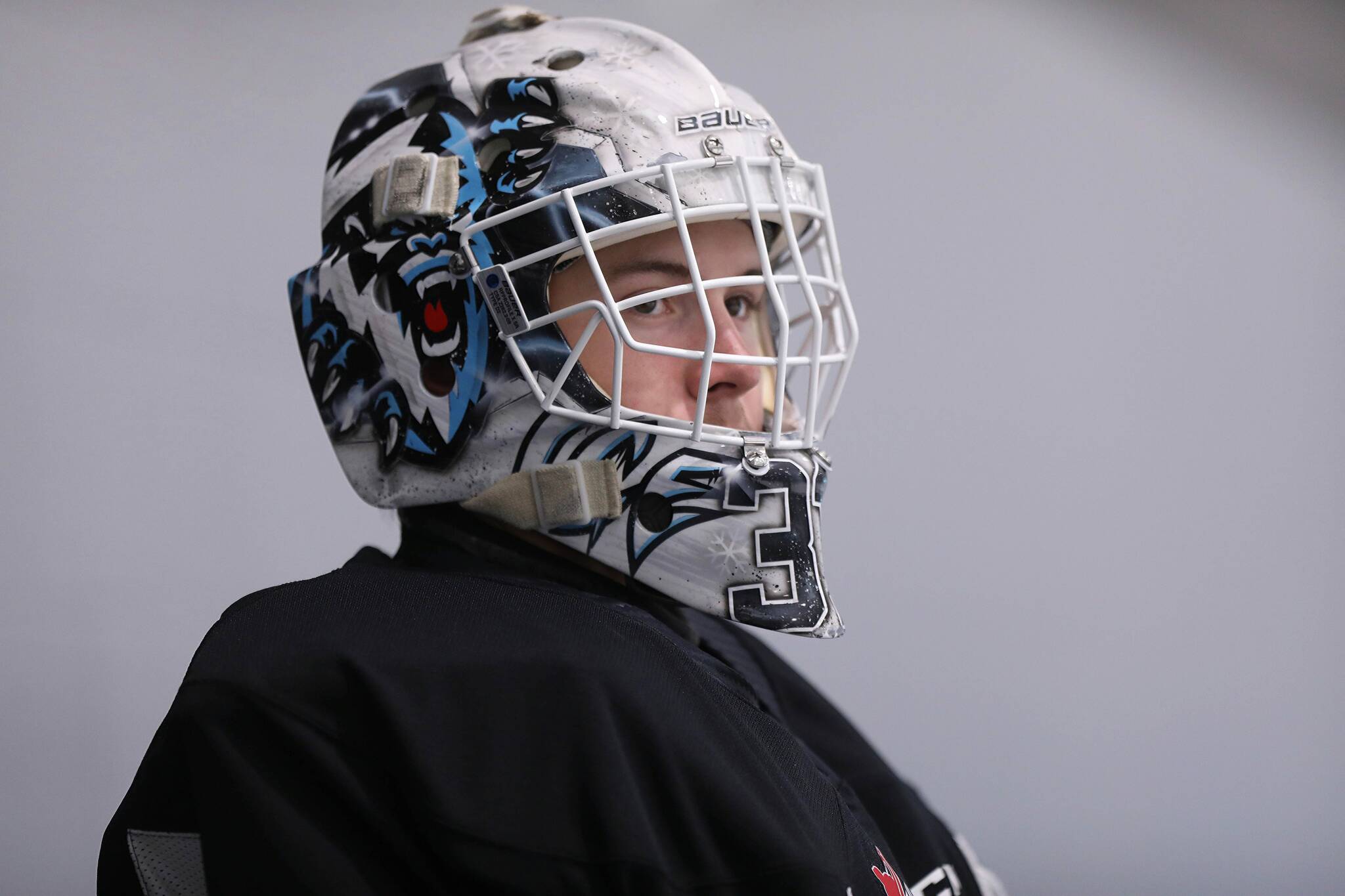 Ice goalie Hauser returning to form – Winnipeg Free Press