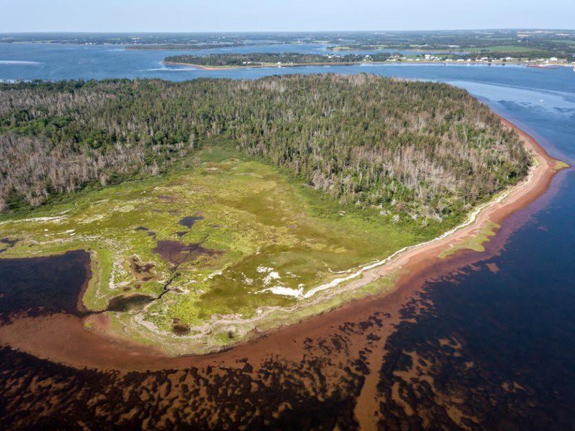 Nature conservancy to buy tiny island off Prince Edward Island’s north ...