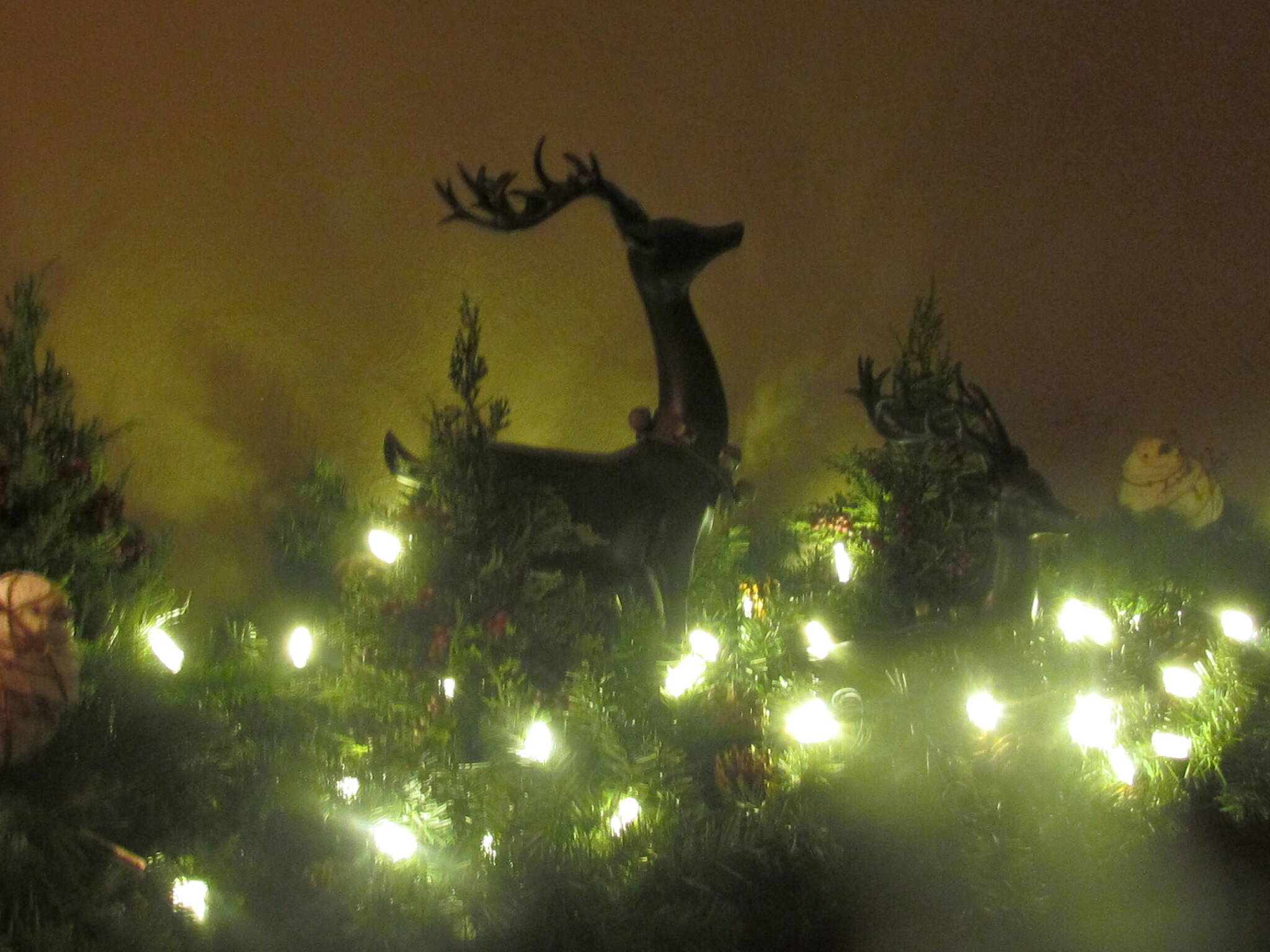 We’re gonna have the hap-hap-happiest Christmas – Winnipeg Free Press