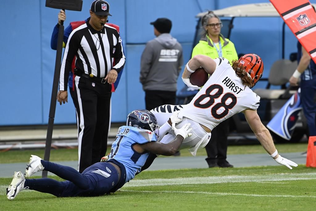 Titans activate 2, put starting LB David Long Jr. on IR – Winnipeg Free ...