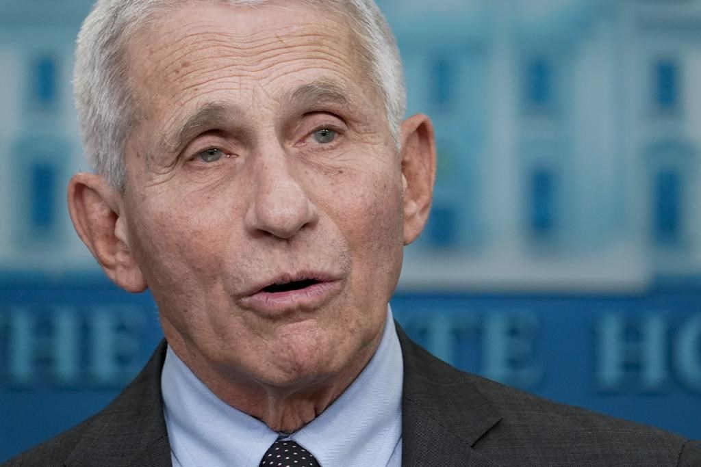 German official dedicates legal win against Twitter to Fauci – Winnipeg ...
