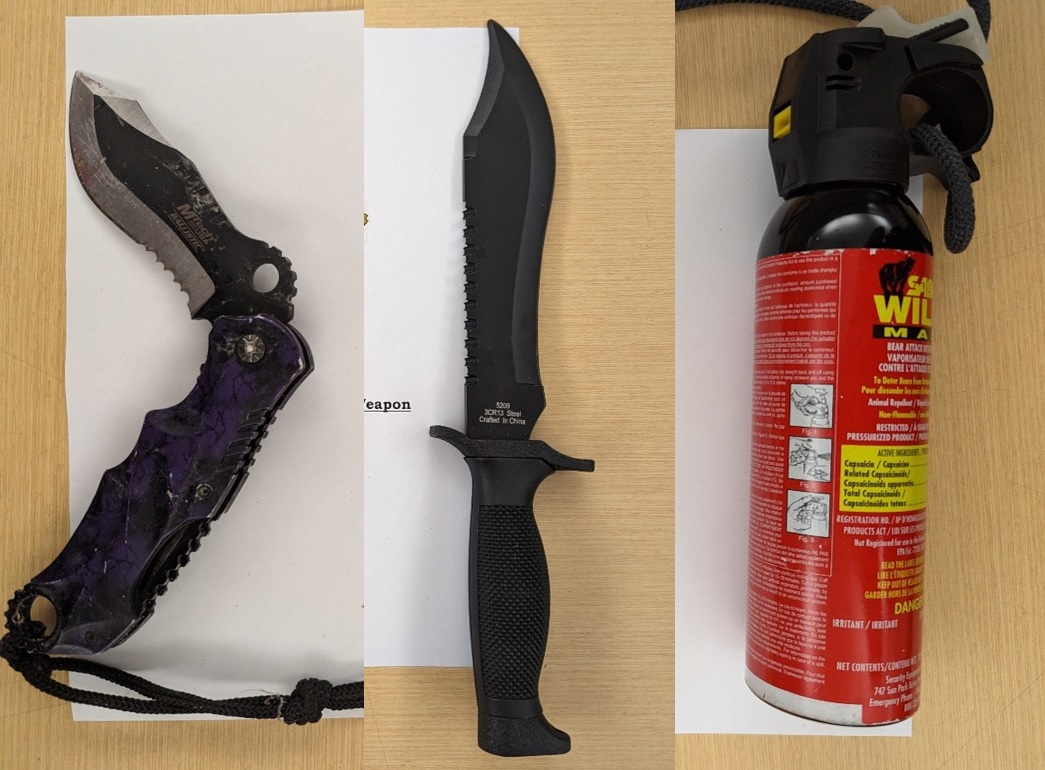 Armed man zapped with Taser, arrested after getting off bus – Winnipeg ...