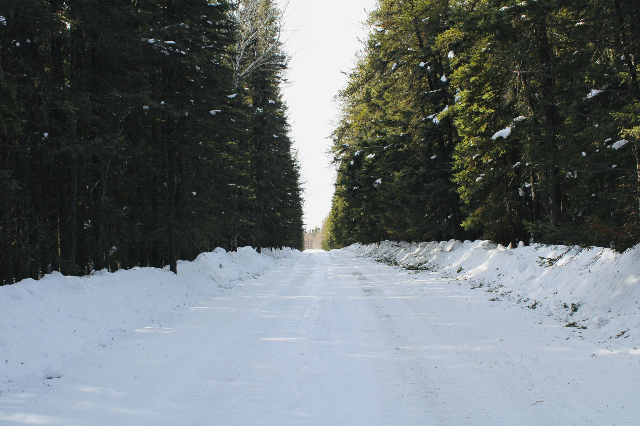 Manitoba declares majority of winter roads open – Winnipeg Free Press