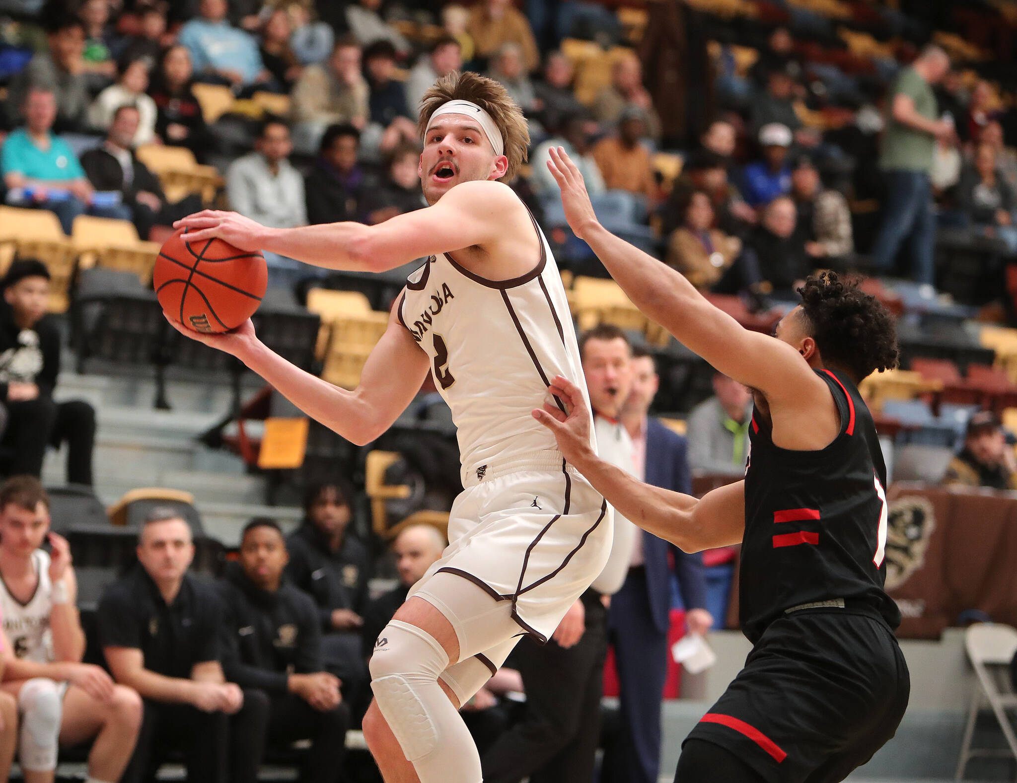 Bisons, Wesmen to play on hometown hardwood – Winnipeg Free Press