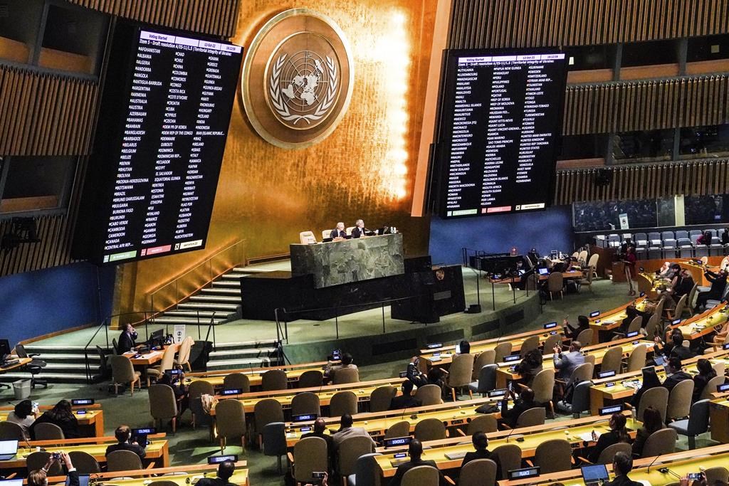 UN draft resolution: Any peace must keep Ukraine intact – Winnipeg Free ...