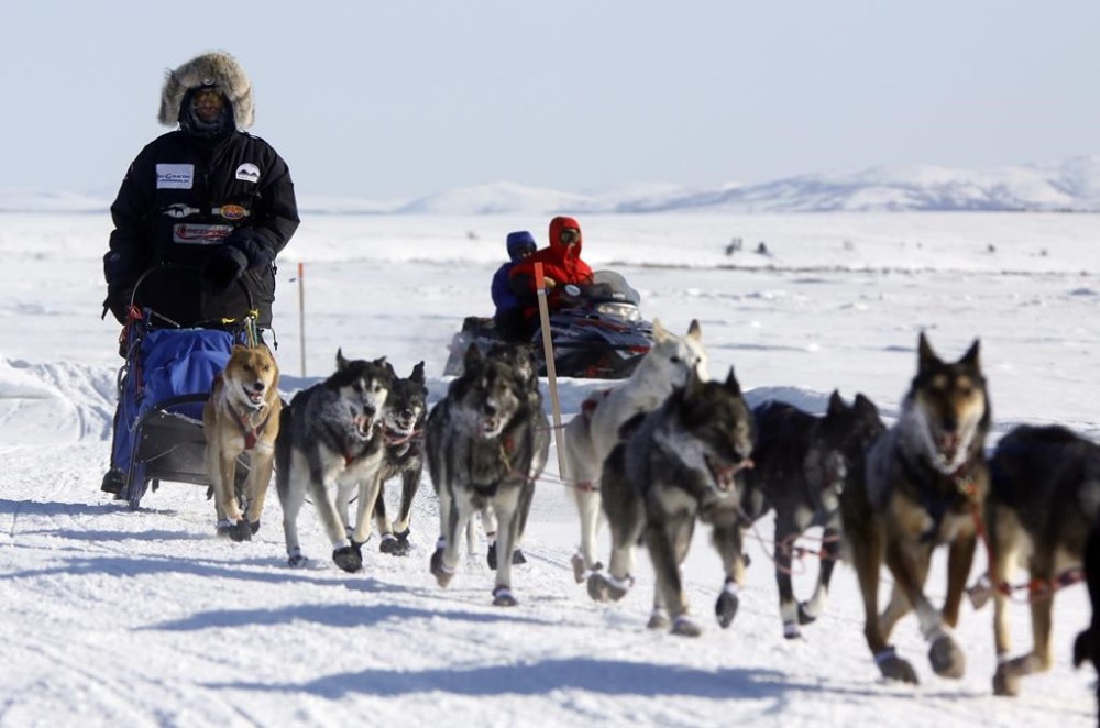 ‘A little scary’: Iditarod begins with smallest field ever – Winnipeg ...