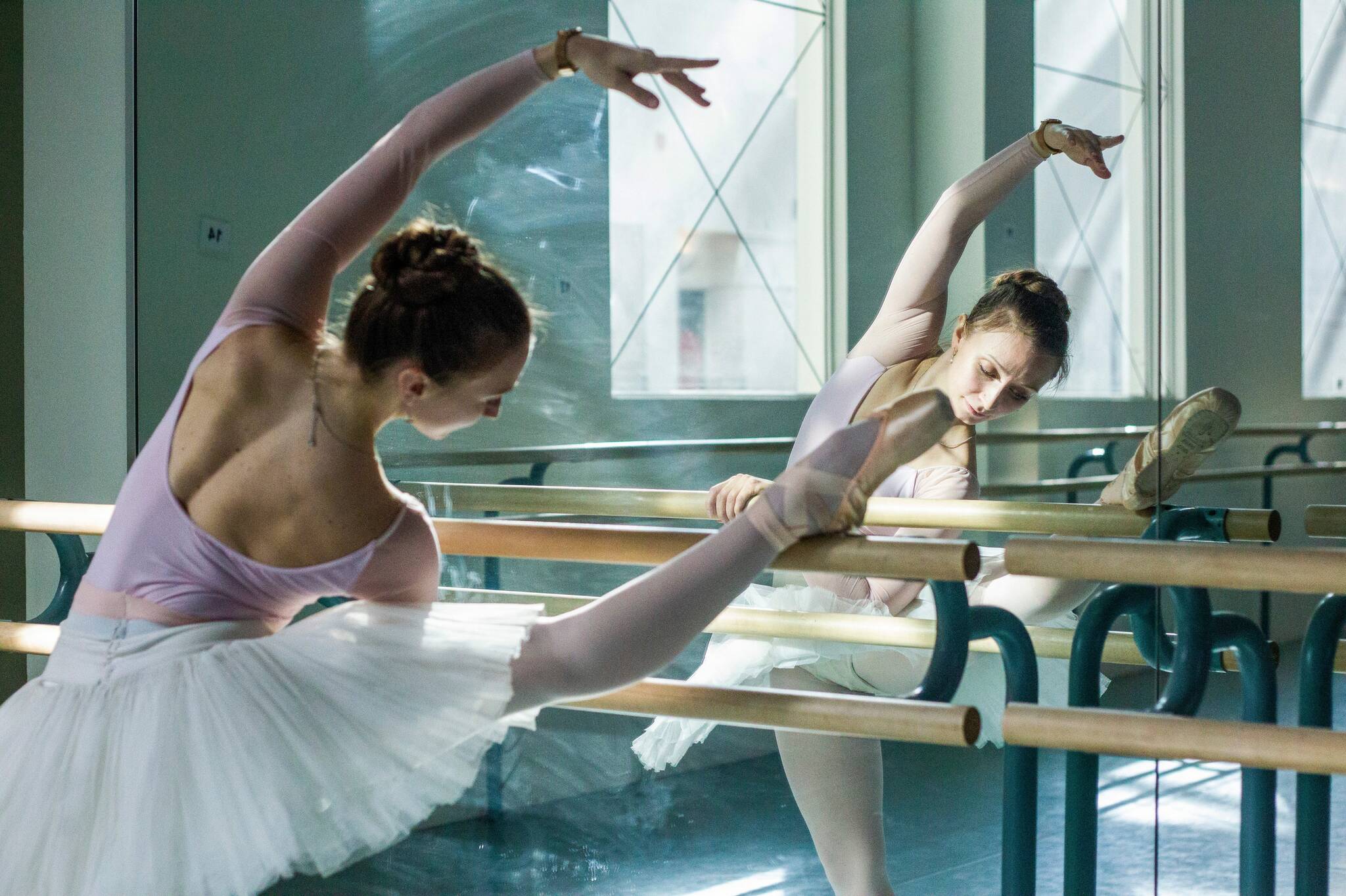 Three swans in readiness – Winnipeg Free Press
