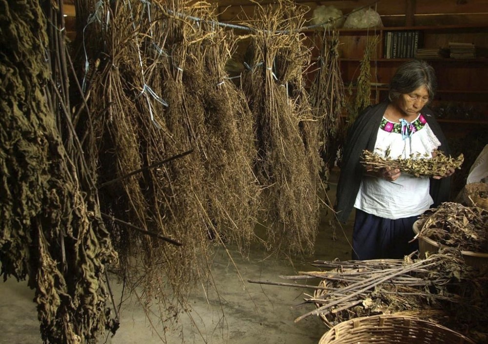 Mexico to use traditional medicine, more Cuban doctors – Winnipeg Free ...