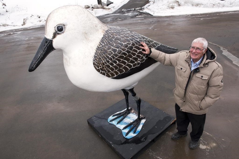 Piper down: Village in New Brunswick wants giant sandpiper returned to ...