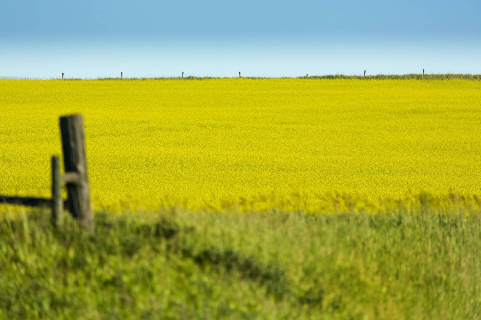 More to climate change equation than just emissions – Winnipeg Free Press