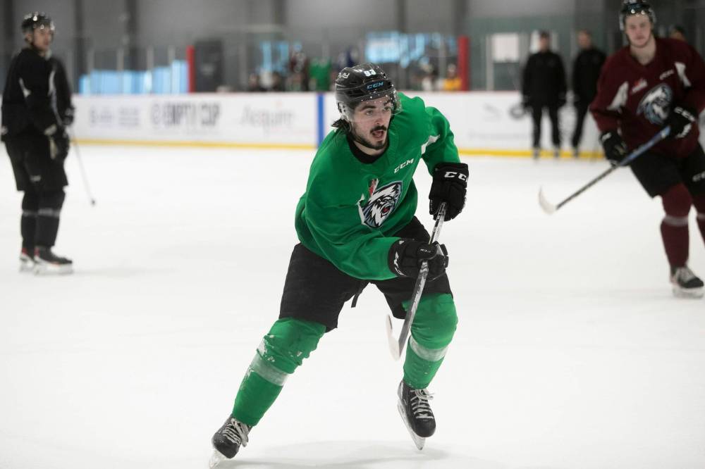 Ice down the Tigers 3-2 to complete best-of-seven series sweep ...