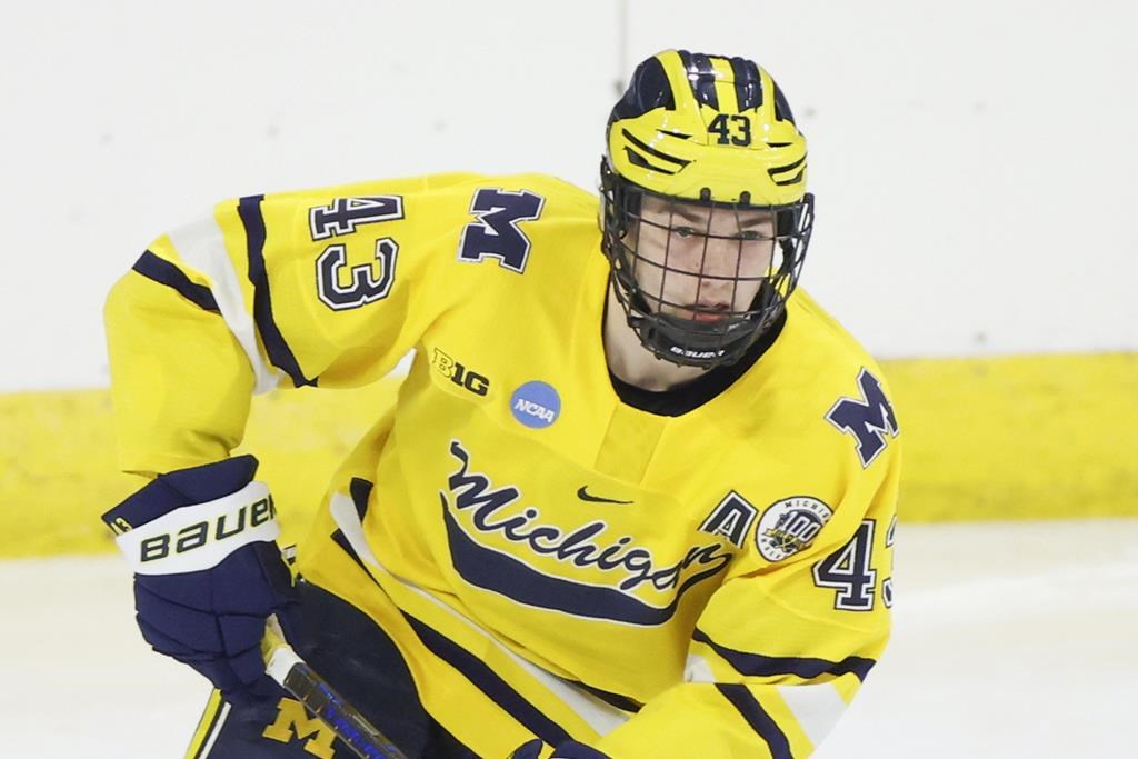 Devils sign Jack Hughes’ brother Luke to 3-year contract – Winnipeg ...
