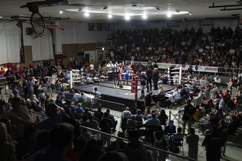 Key dates in 100 years of Golden Gloves boxing in Chicago – Winnipeg ...