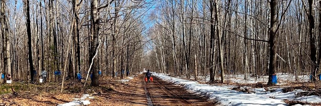 Flooding has pushed Wisconsin’s Bad River closer to Line 5 pipeline ...