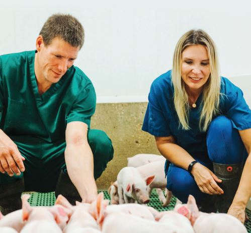 Investing in the Ongoing Enhancement of Animal Care – Winnipeg Free Press