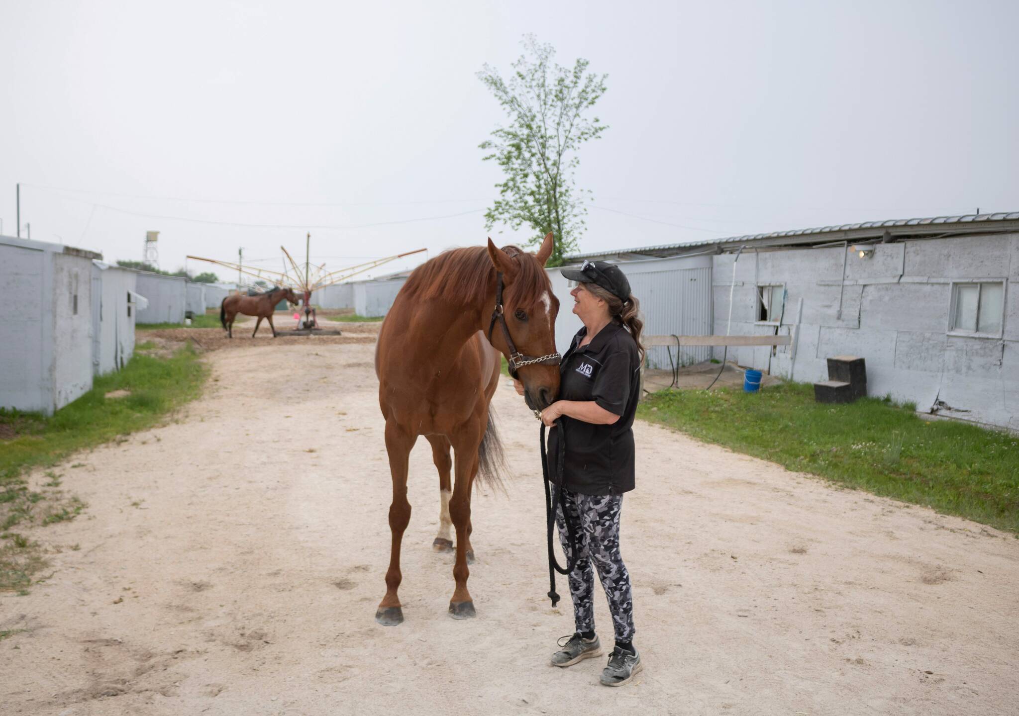 Love spurs Captive Kitten to victory – Winnipeg Free Press
