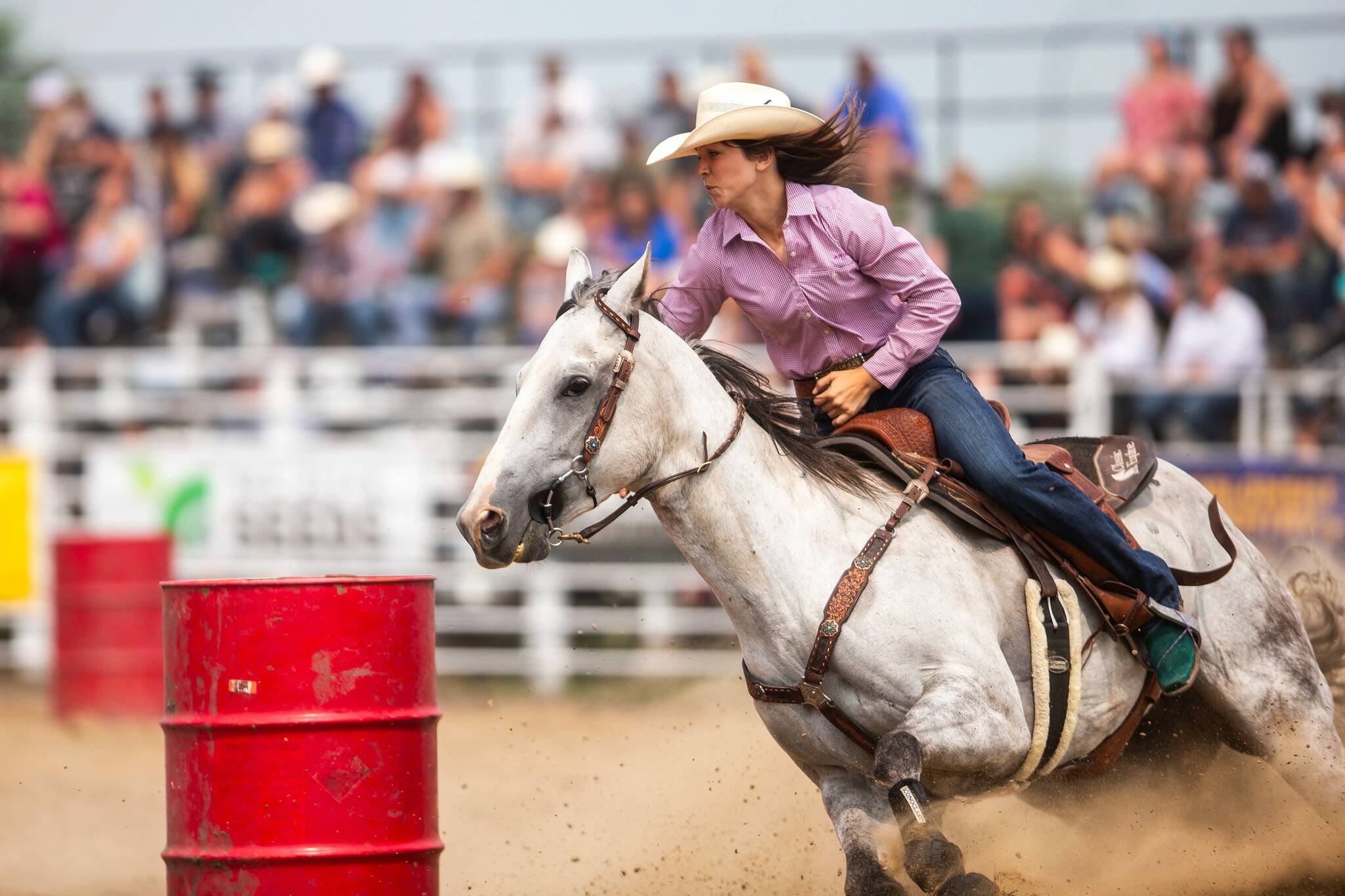 Annual rodeo pilgrimage helps fuel town’s economic engine – Winnipeg ...