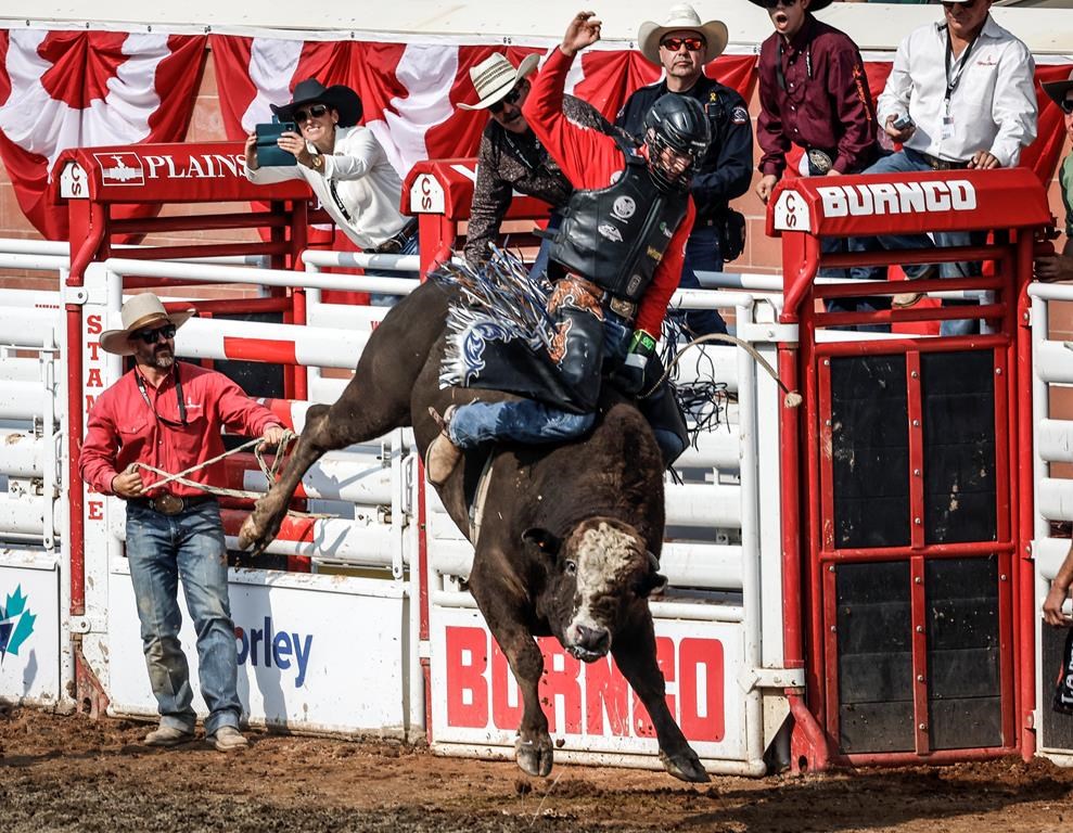 Four Canadians prevail in Calgary Stampede rodeo finals – Winnipeg Free ...