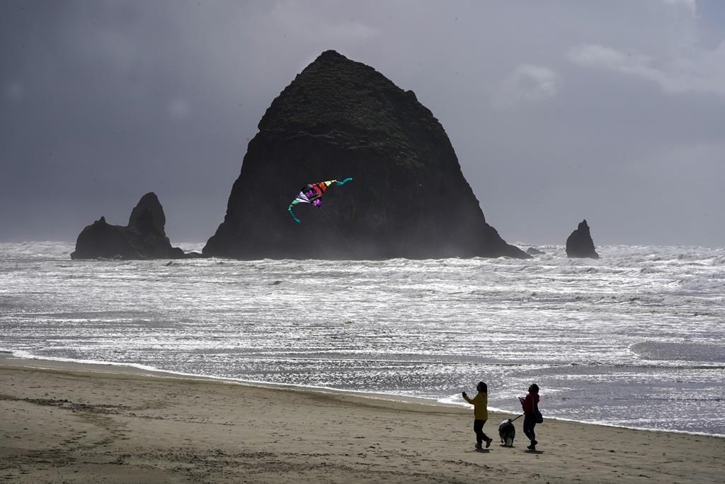 Oregon’s Cannon Beach reopens after cougar sighting on iconic coastal ...