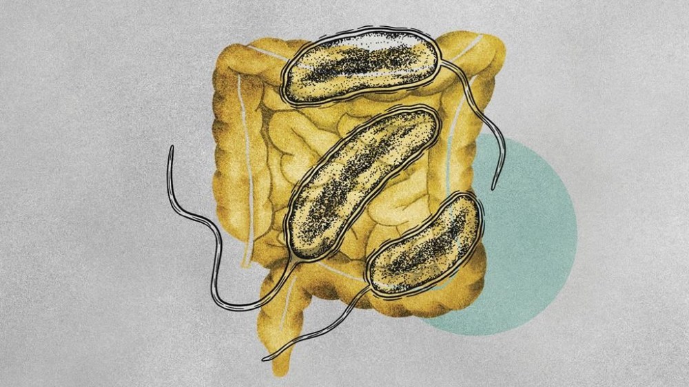 As climate change leads to more and wetter storms, cholera cases are on ...