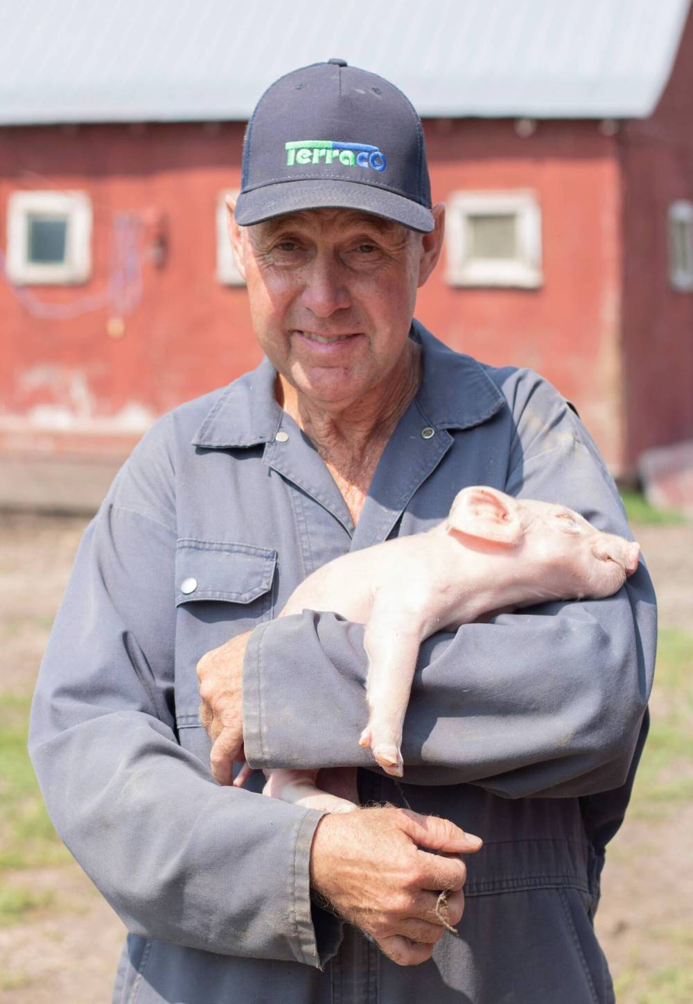Hog producers ‘under pressure’ – Winnipeg Free Press