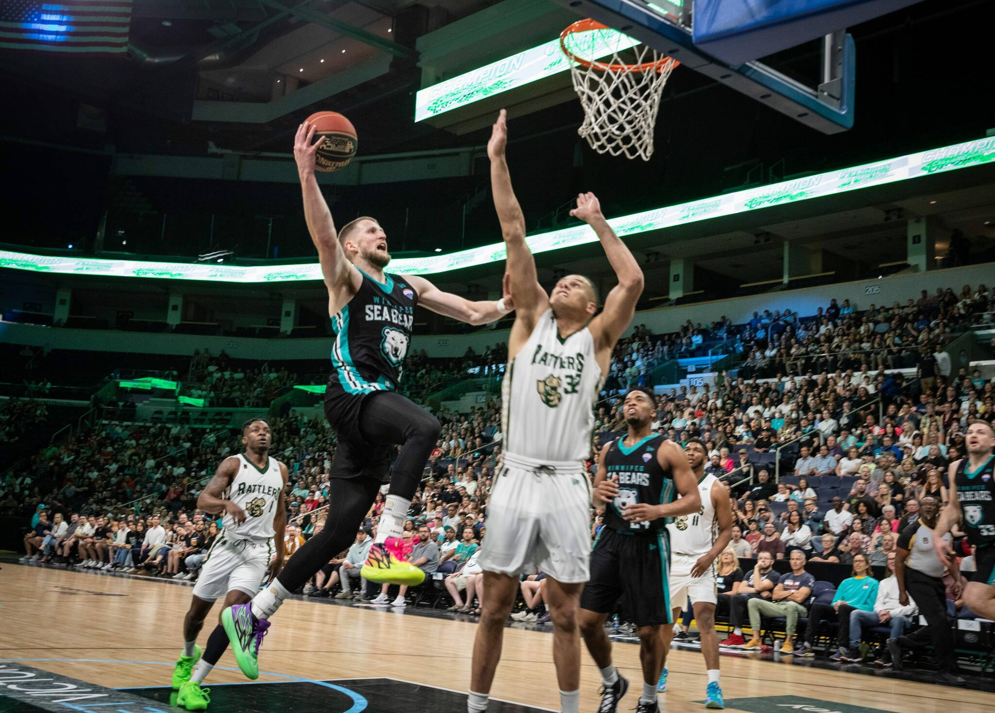 Sea Bears will have support of record crowd in must-win showdown with ...