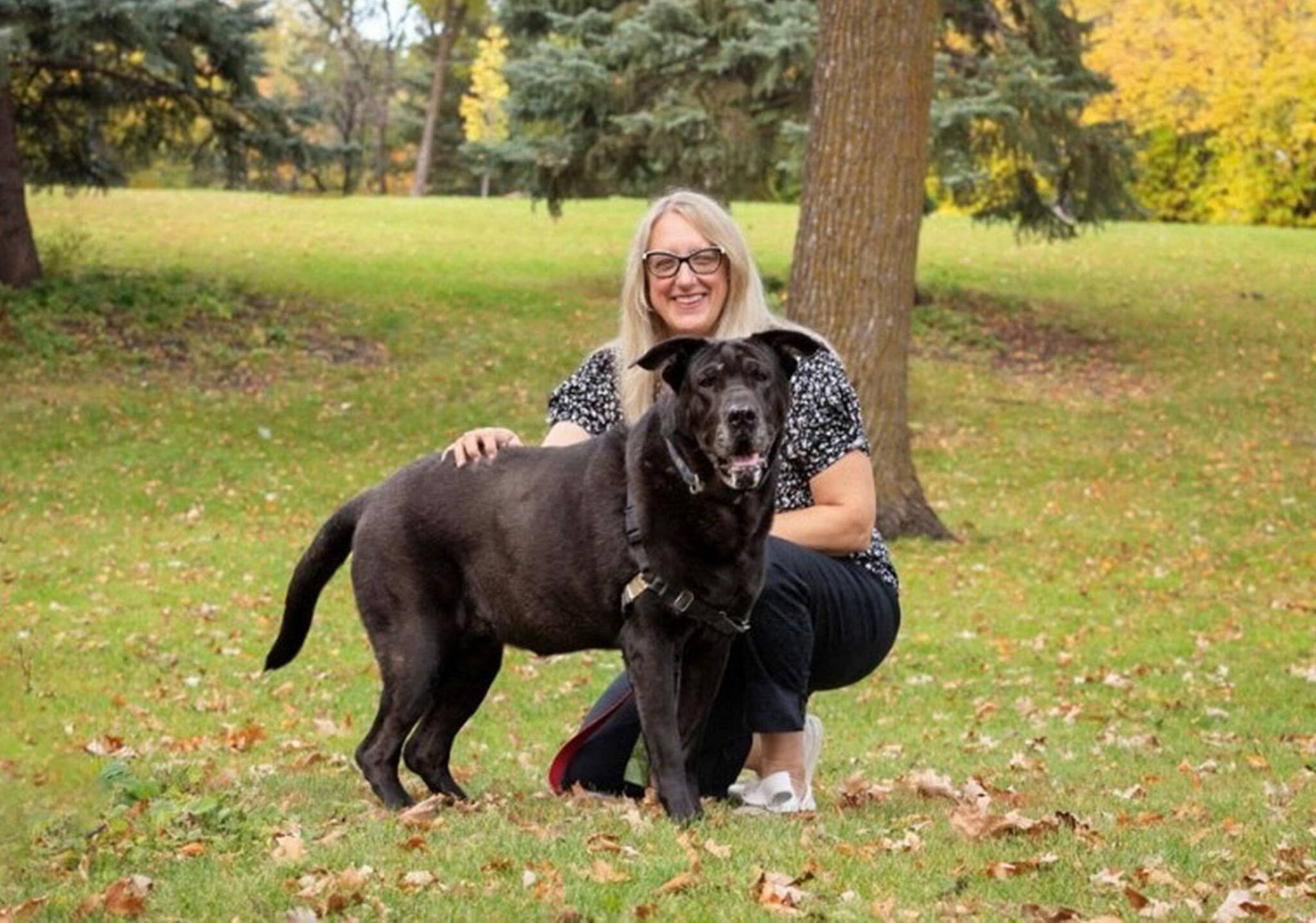 Humane Society hires first full-time animal advocacy lawyer – Winnipeg ...