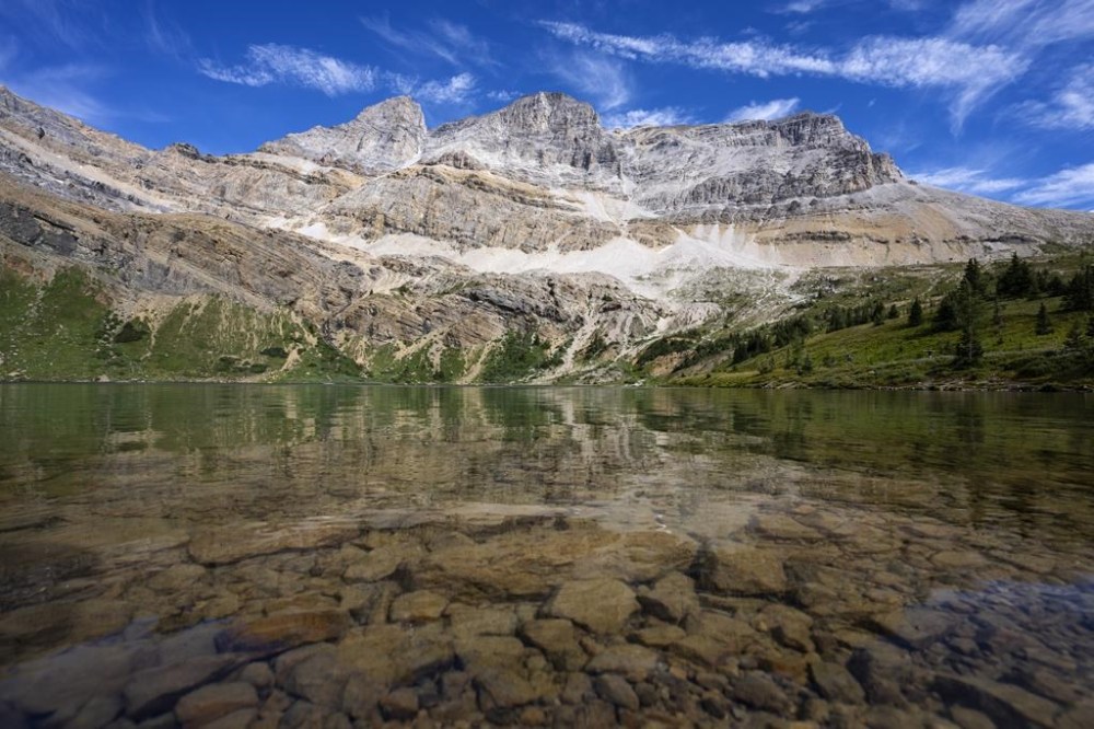 Two killed in bear attack at Banff National Park, grizzly euthanized ...
