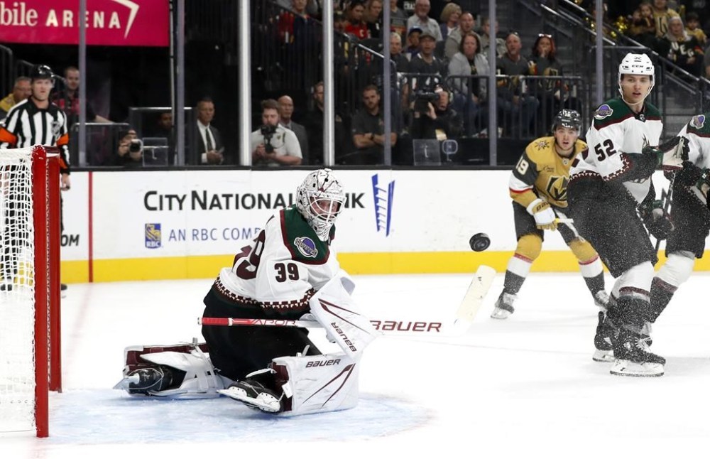 Arizona Coyotes add veterans to join skilled young players in third ...