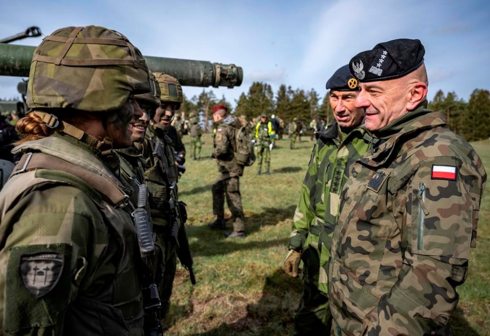 Polish generals named to replace top military commanders who resigned ...