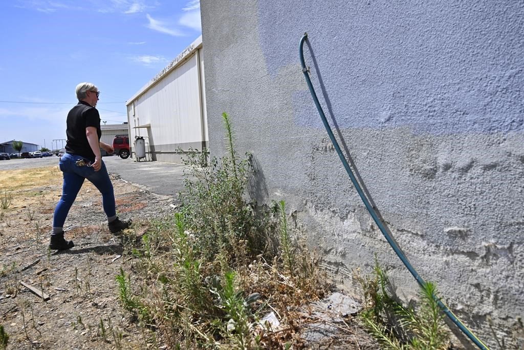 Owner of California biolab that fueled bio-weapons rumors charged with ...
