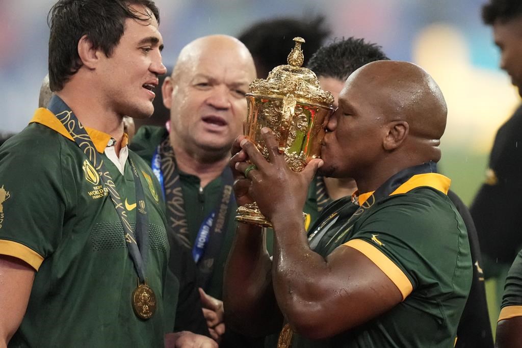 No fireworks: superb defending, grit and resilience lead Springboks to ...