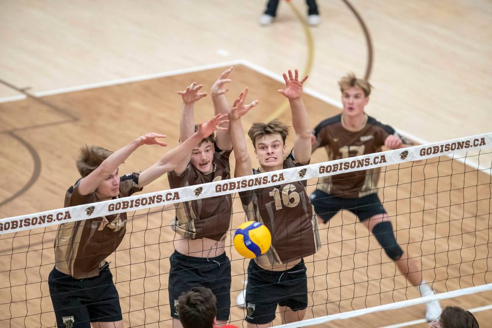 Dinos ruin Bisons’ homecoming – Winnipeg Free Press