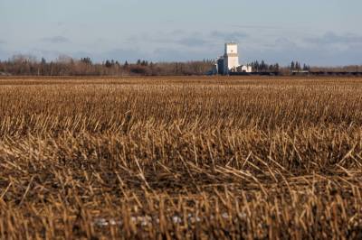 Agriculture – Winnipeg Free Press