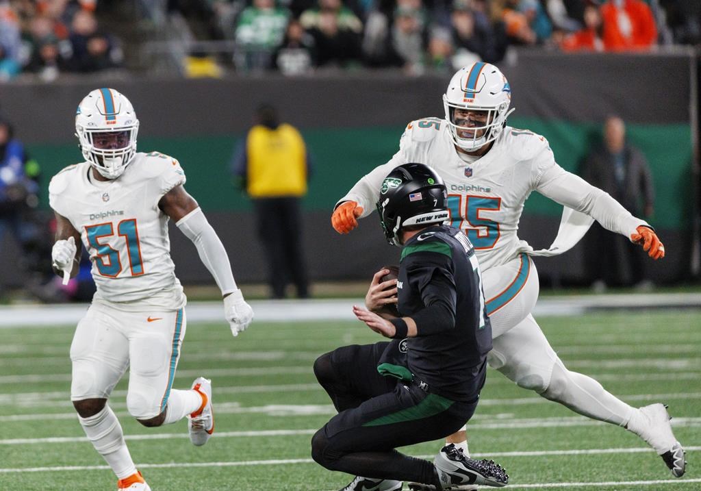 After a dominant Black Friday performance, the Dolphins have their eyes ...