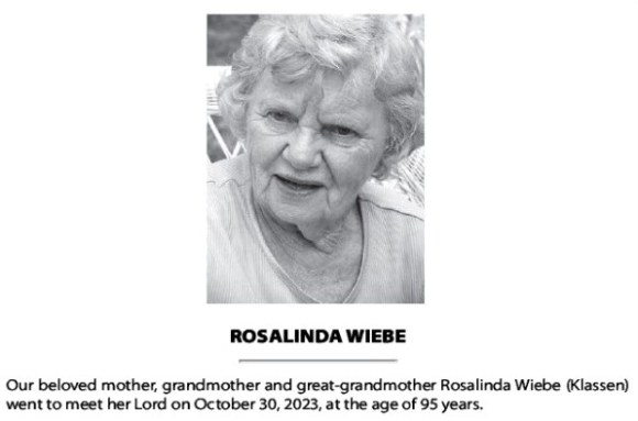 Wired to volunteer – Winnipeg Free Press