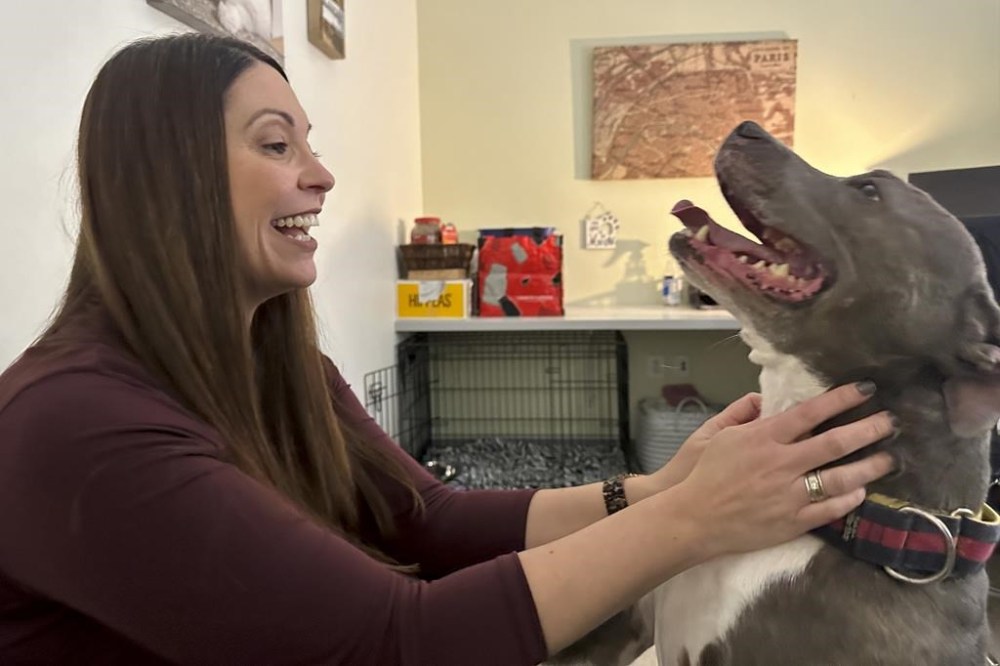 America’s animal shelters are overcrowded with pets from families ...