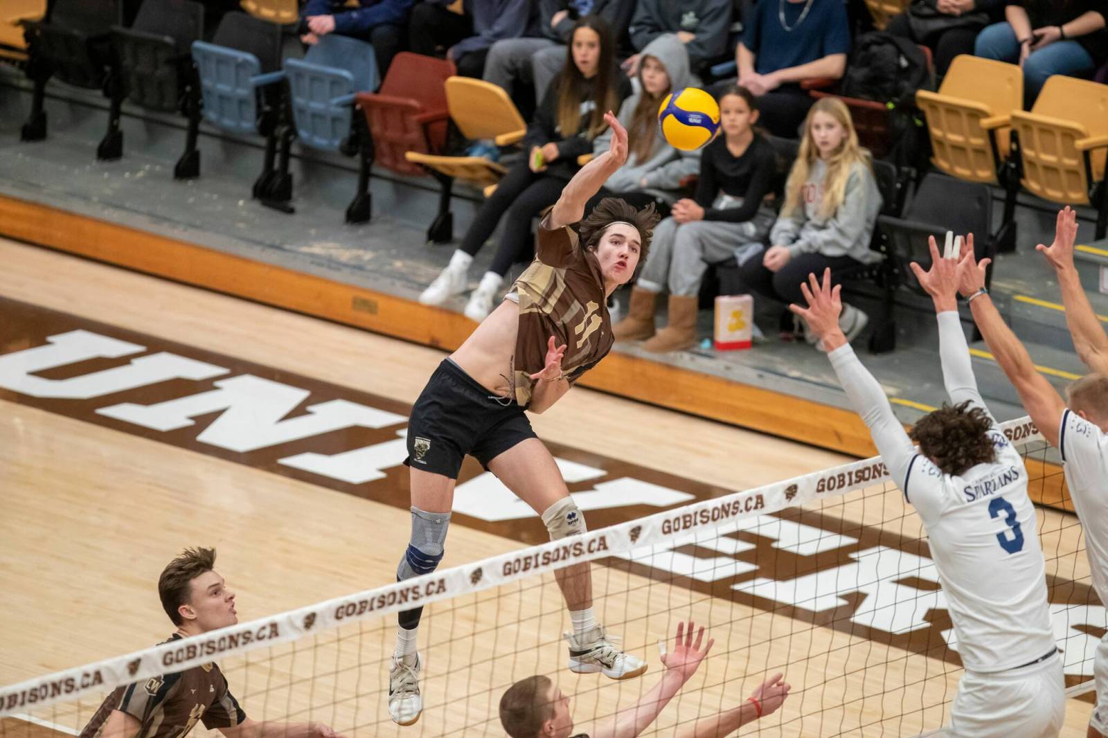 Trinity Western men bring end to Bisons’ winning streak while women ...