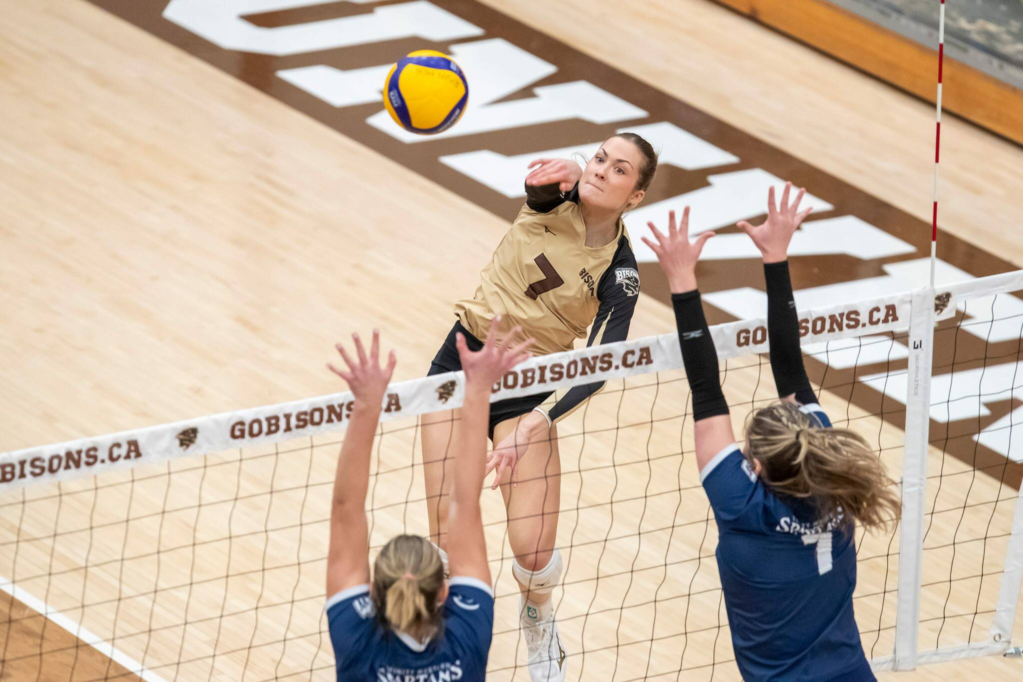 Surinx, Bisons sweep No. 1-ranked Spartans – Winnipeg Free Press