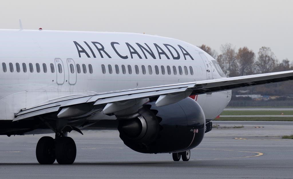 Passenger at Toronto Pearson Airport opened cabin door, fell to tarmac ...