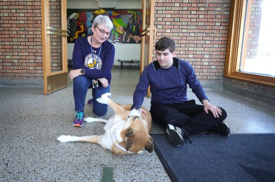 Pet therapy a positive benefit in a school environment – Winnipeg Free ...