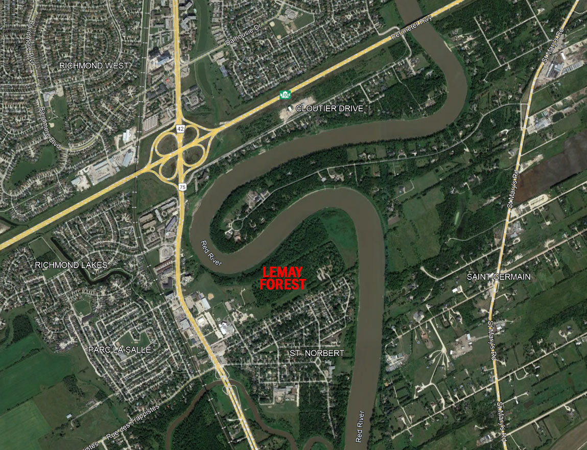5,000 beds, 5,000 parking spots: plan for Lemay Forest land seeks to ...