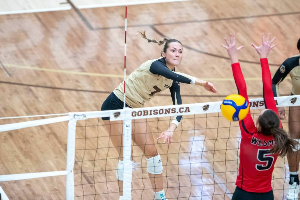 Bisons down tenacious Wesmen – Winnipeg Free Press