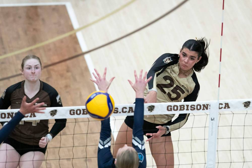 Bisons volleyball standout Surinx sidelined with ankle sprain ...