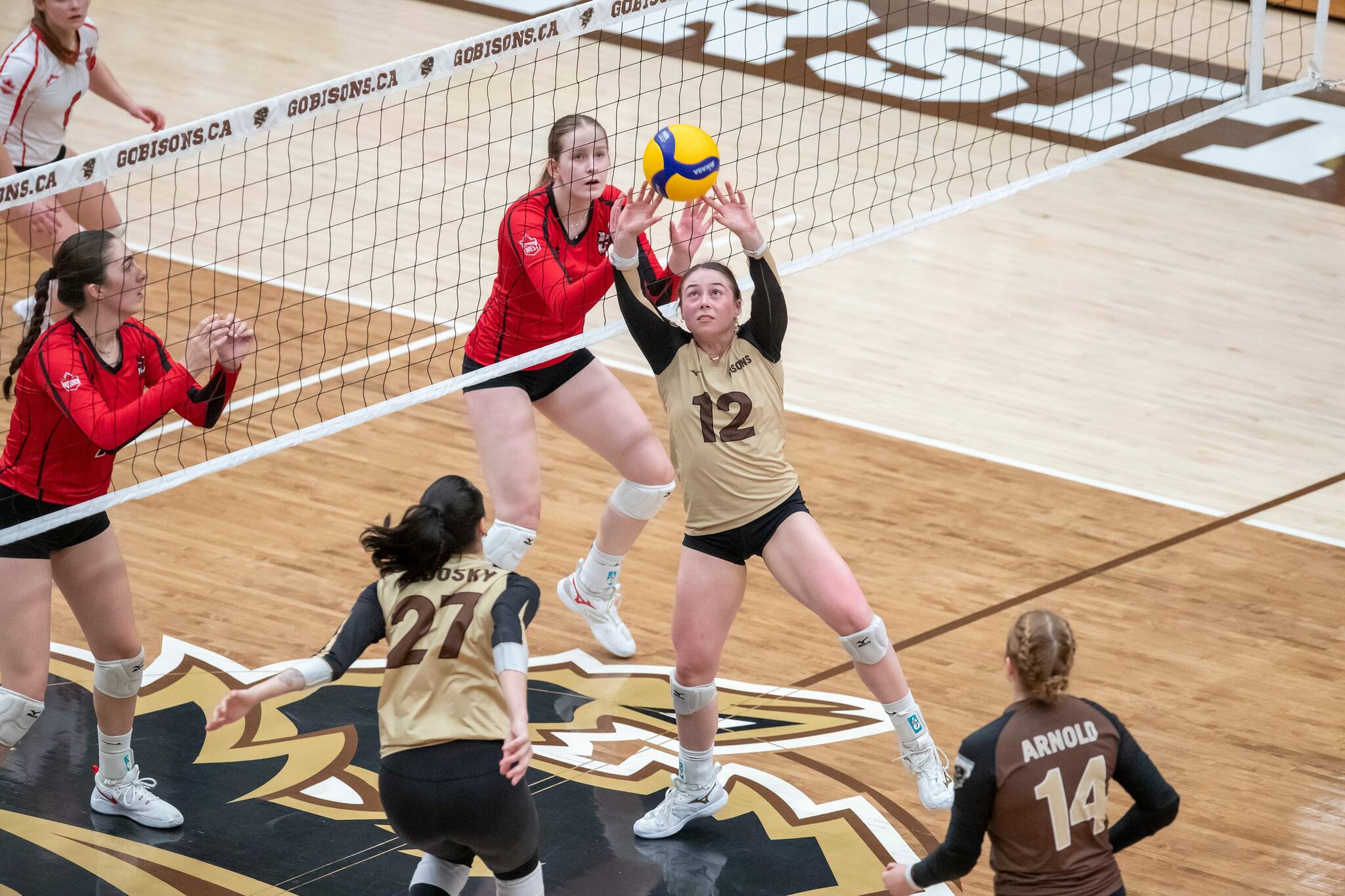 Bentley sets assist record as Bisons clinch second place – Winnipeg ...