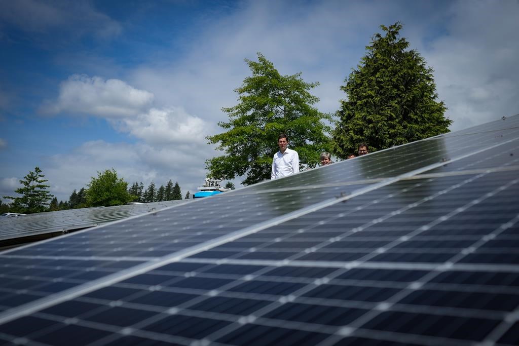 BC Hydro wants more clean power to help meet demand, clean energy ...