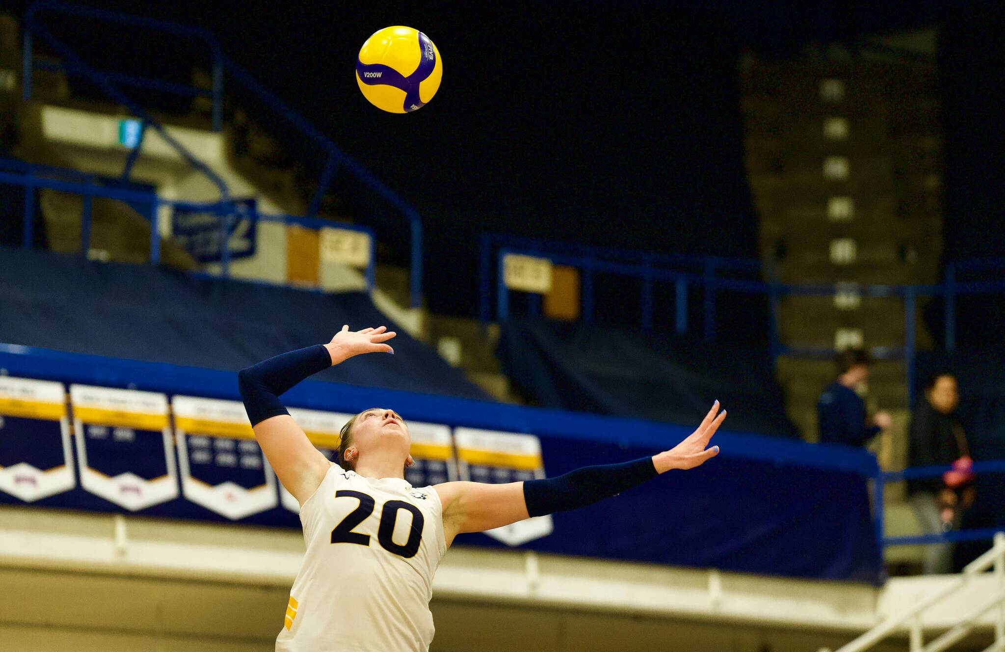 Bisons face Thunderbirds for women’s volleyball glory – Winnipeg Free Press