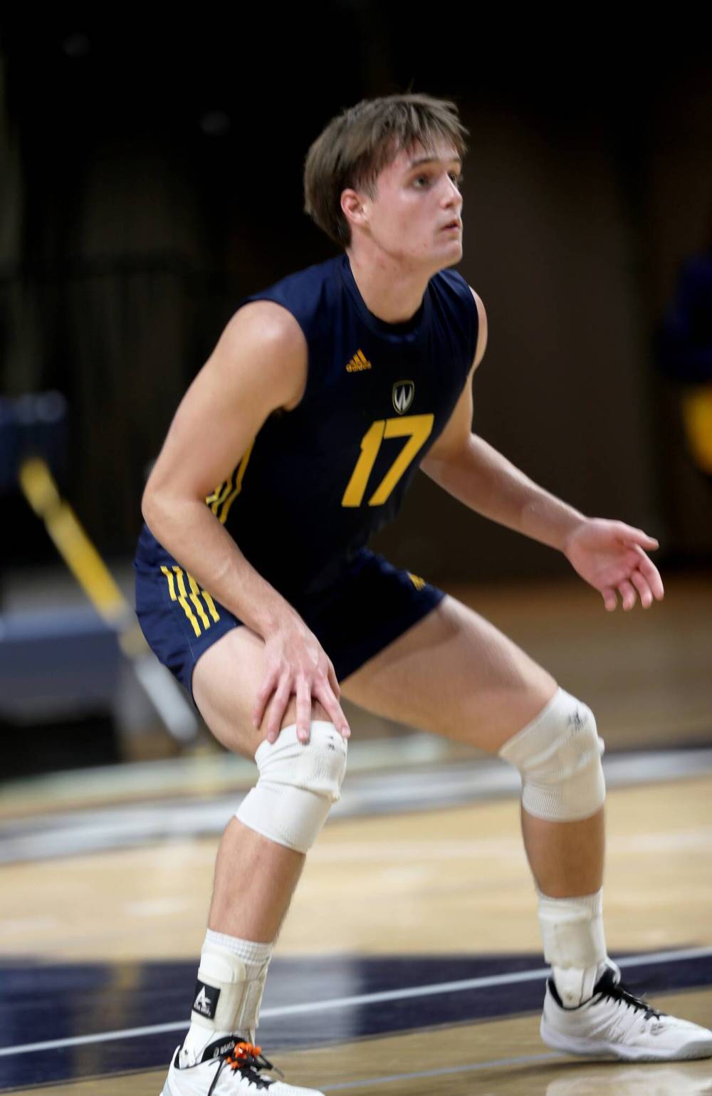 High-flying brothers – Winnipeg Free Press