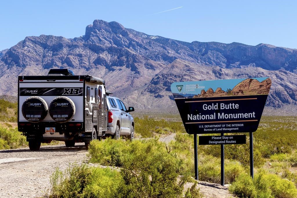 10 years after armed standoff with federal agents, Bundy cattle are ...