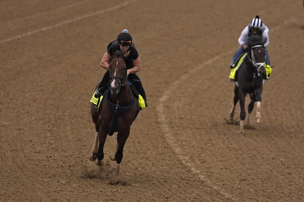 Jayson Werth’s love of horse racing after baseball has led him to the ...